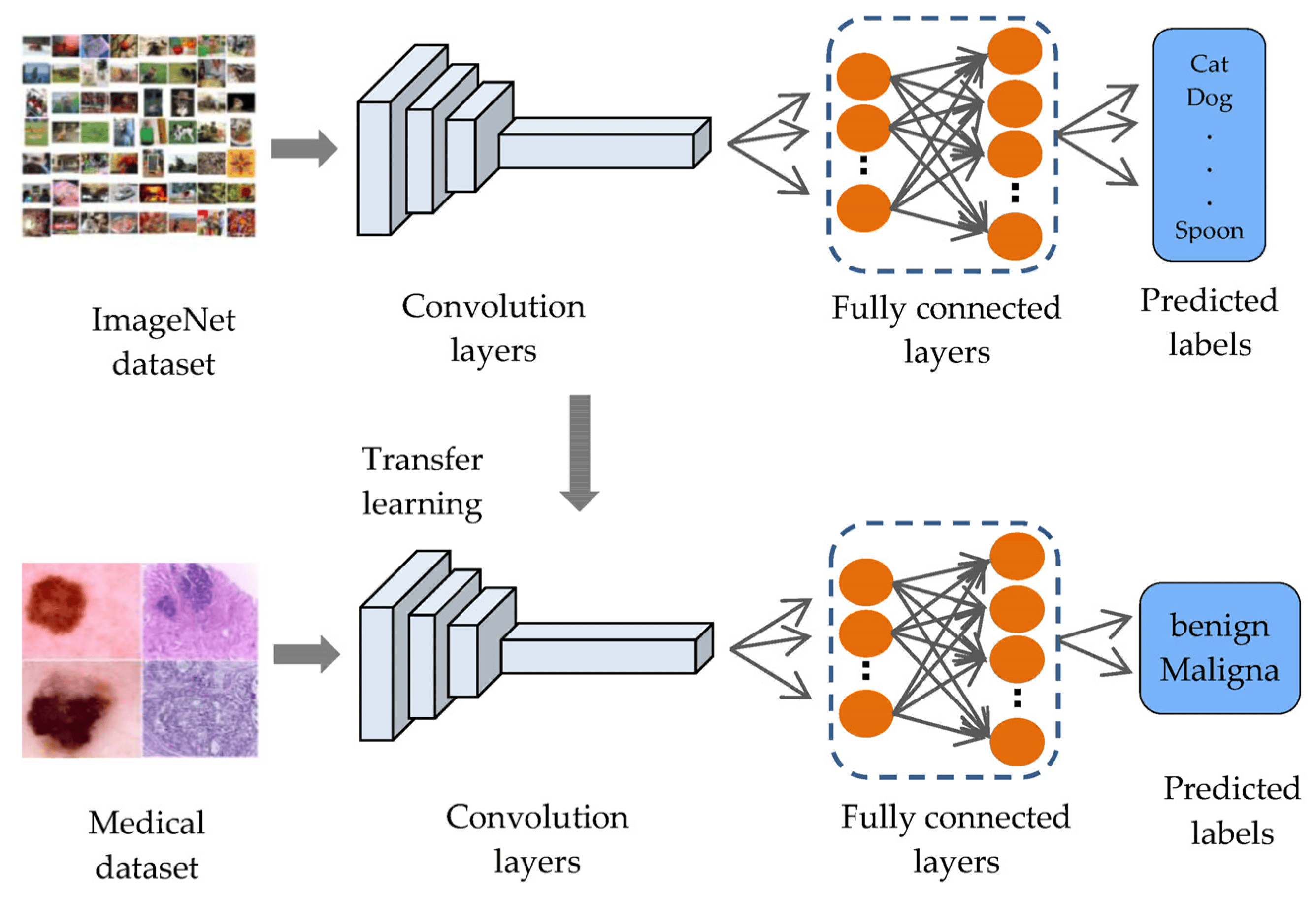 🎯 - Image Classification with Pytorch Lightning
